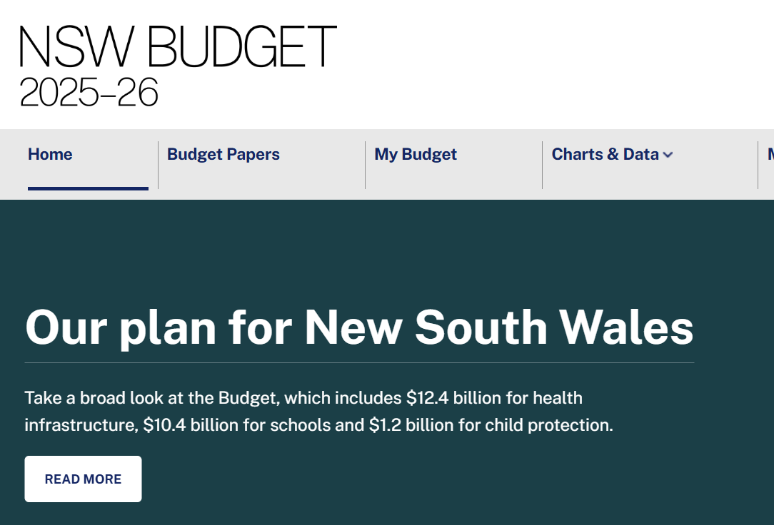 NSW State Budget 2025/2025: 'Support for supply, but supply for whom ...